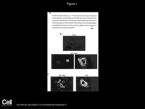 Gillian Elliott Peter Ohare Cell Ppt Download