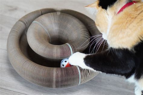 【びょ～んと伸びる】マジックオルガン猫爪とぎボードをレビュー！ ネコビュー
