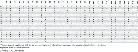 Nucleotide Position For Each Polymorphic Site Download Table