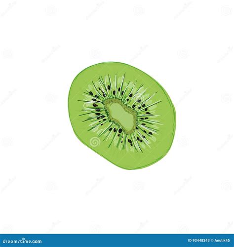 Slice Of Kiwi In Sketch Style Vector Illustration Stock Vector