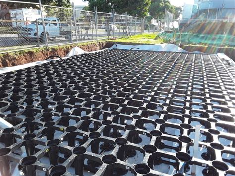 Structural Soil Urban Trees At Chris Erickson Blog