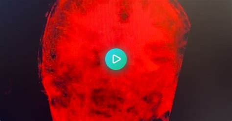 Having Fun With Some Brain Scan Software Album On Imgur