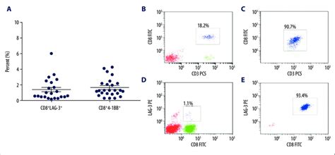 T Cell Phenotypes In Peripheral Blood Mononuclear Cells Pbmcs A
