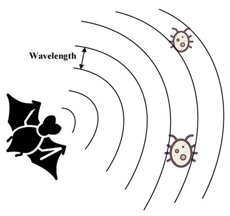 Applied Sciences Free Full Text A Phase Angle Modulated Bat
