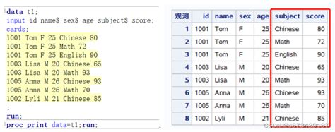 sas proc transpose转置 sas转置 csdn博客