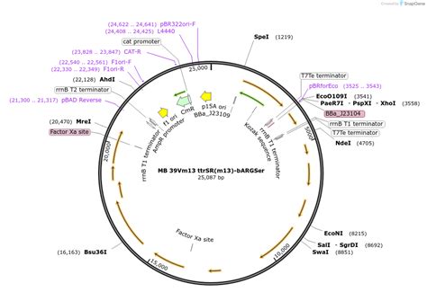 Addgene Mb 39vm13 Ttrsrm13 Bargser