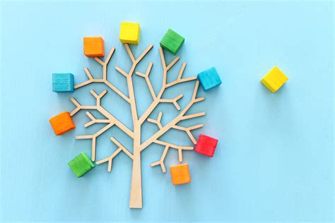 درخت تصمیم Decision Tree تعریف، مزایا و کاربردها کوئرا‌بلاگ