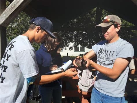 Environmental Stewardship Fund Unity Environmental University