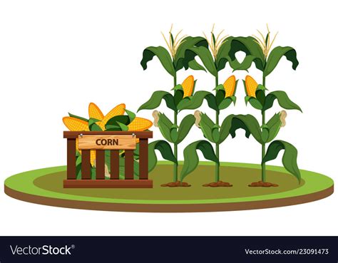 Agriculture Corn Clipart 10 Free Cliparts Download Images On