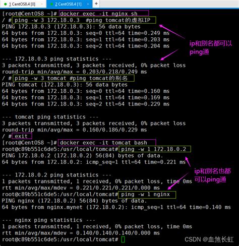 Docker学习：外部浏览器访问容器 容器访问容器 访问容器的常用5种方式 P P 详解 Docker Run P Csdn博客