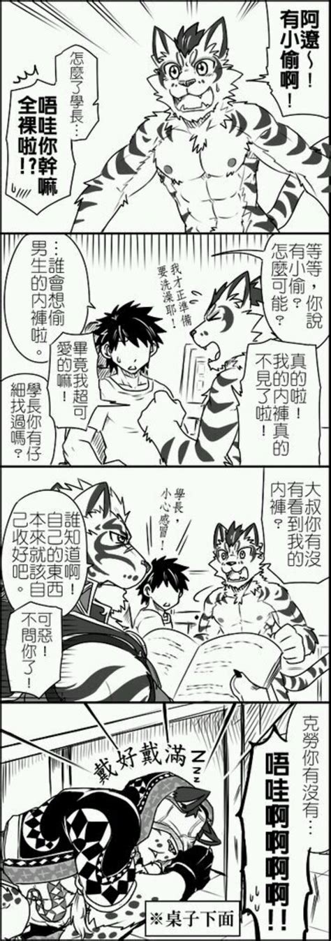 家有大猫 堆糖，美图壁纸兴趣社区