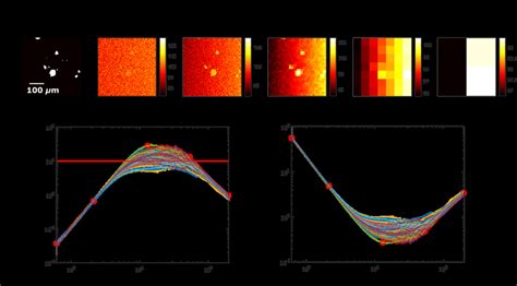 Monte Carlo Simulation Of Procedurally Generated Tumor Images Download Scientific Diagram