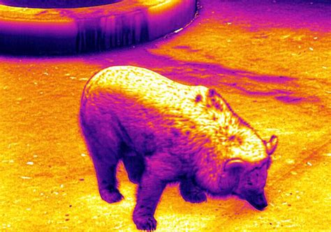 Characteristics Of Infrared Radiation