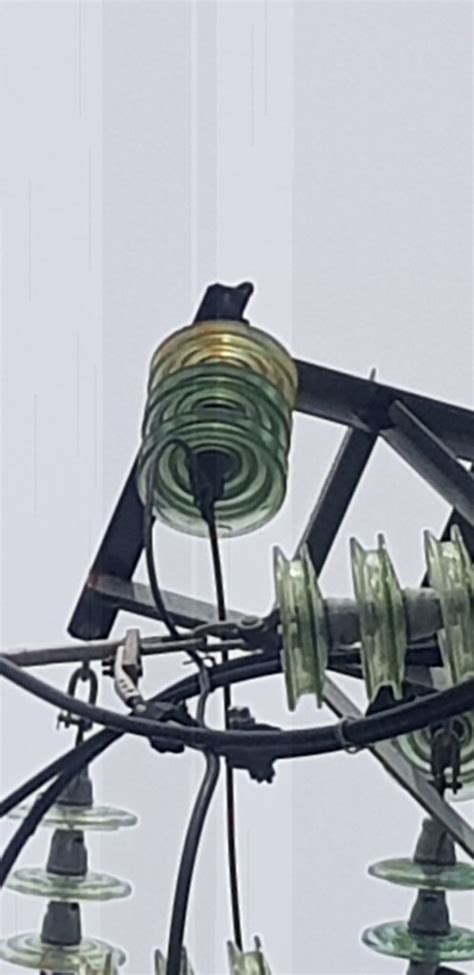 12 Tt Thuy Tinh Ban Tt Object Detection Dataset By Bdpc Ai Gd2