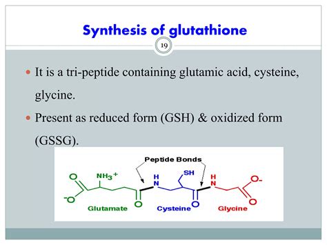 Glycine Metabolism And Specialised Products Of Amino Acids Pptx