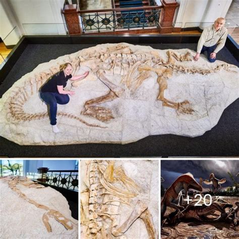 Paleontologists Unravel The Mystery The Truth Behind The Giant Intact