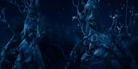Lotr Why Hasnt Treebeard Heard Of Hobbits