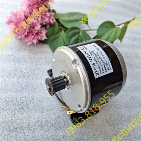 Motor động Cơ 24v 300w đầu Puly Răng Không Giảm Tốc Xe Scooter Xi Trẻ