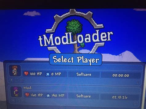 Tmodloader Corrupted Character Help Rterraria