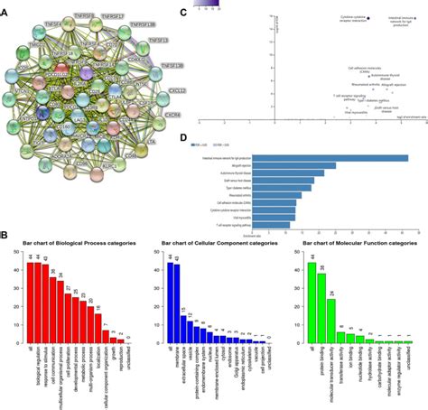 Slc6a8 Is A Potential Biomarker For Poor Prognosis In Lung Adenocarcinoma Pmc