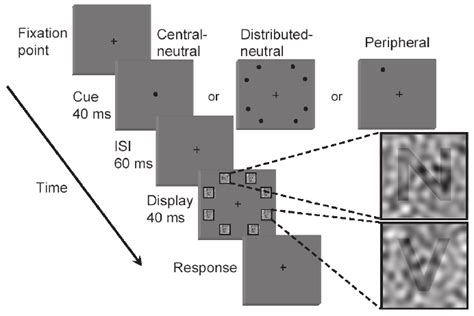 A Schematic Representation Of A Trial Sequence In One Third Of The