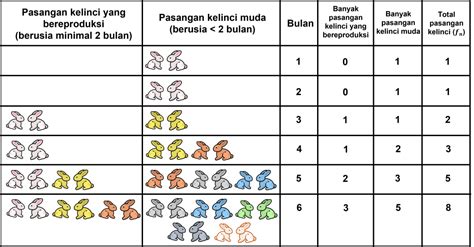 materi soal dan pembahasan bilangan fibonacci — mathcyber1997