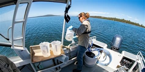 Monitoring Managing And Improving Water Quality Western Australian Government