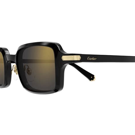 Sunglasses Cartier Première De Cartier Ct0539s 001 49 22 Black