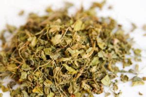 Приправа пажитник в кулинарии - AgroFlora.ru