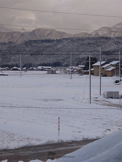 寒い朝です。積雪は10cmまでは無いぐら 富山県下新川郡入善町 ゆめりい ウェザーニュース