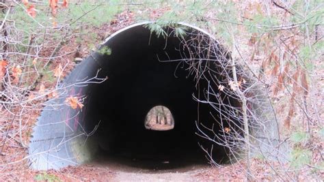 A Tunnel To Cape Cod A Times Reporter Has Searched For Years