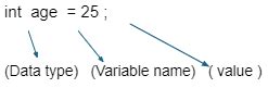 Java Variables Scope Free Course For Beginners