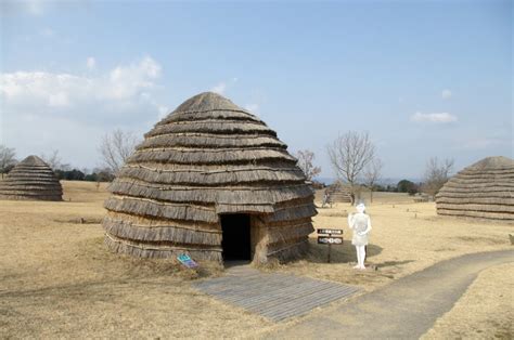 9500年前の歴史がココに鹿児島県の観光スポット上野原遺跡 旅色プラス