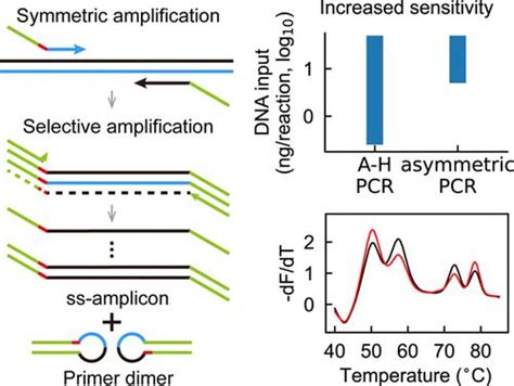 Multiplex Asymmetric PCR by Combining the Amplification Refractory Mutation System with the Homo ...