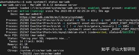 RISC V服务器SG2042部署MariaDB 知乎