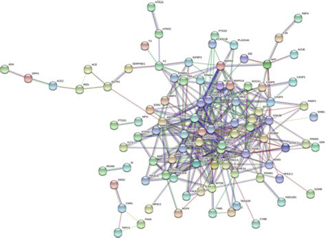 Ppi Network Of Target And Disease Related Genes Constructed Using