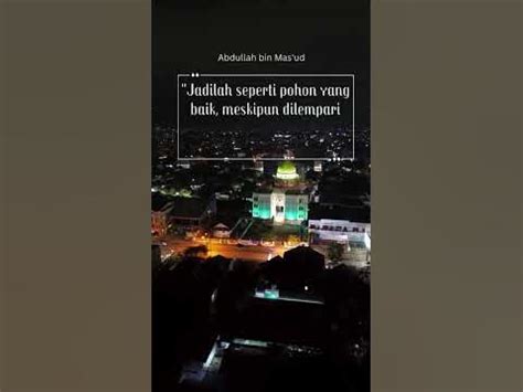 jadilah seperti pohon meski dilempari batu ia tetap memberi buah # ...