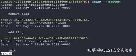 Ctfhub 技能树web信息泄露git 泄露log 知乎