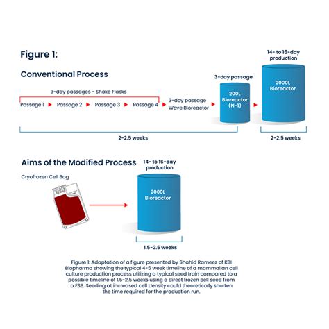 Direct Inoculum Of Bioreactors With Frozen Seed Bags