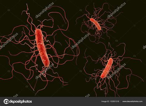Bacterias De Clostridium Difficile Fotografía De Stock © Katerynakon
