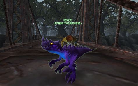 满满的爱：猎人珍稀宠物图文百科 撑爆兽栏！17173魔兽世界专区