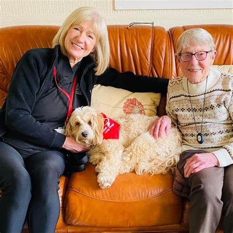 Volunteer Profile Jan Rayner Visits With Teddy The Toodle Wag And Company