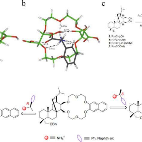 A Structures Of Native Cyclodextrins B Schematic Illustration Of