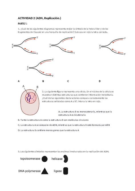 Actividad2 Adn Y Replicación Actividad 2 Adn Replicación Parte 1