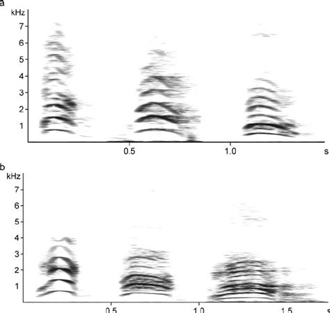 Spectrograms Of Clear Calls Of A Female And B Male Download