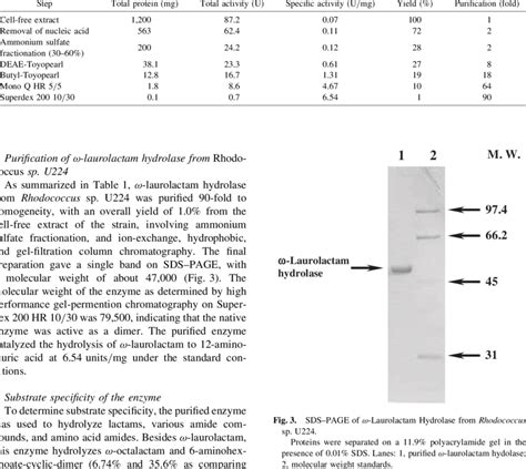 Purification Of Laurolactam Hydrolase From Rhodococcus Sp U224 Download Scientific Diagram