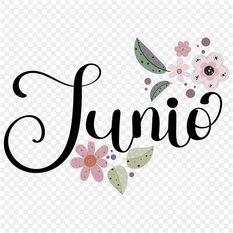 Hola Mes De Junio Texto Letras A Mano Con Flores Y Hojas Png Dibujos
