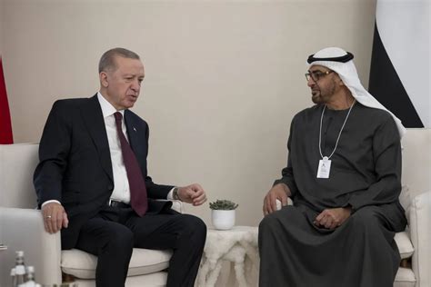 رئيسا الإمارات وتركيا يؤكدان ضرورة التحرك الدولي لوقف إطلاق النار بغزة