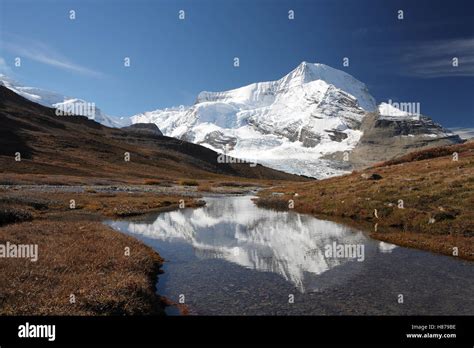 Peak Reflected In Alpine Creek Mount Robson Mount Robson Provincial