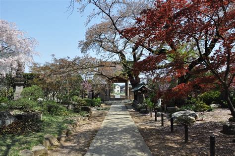 ・20140411 埼玉県上尾市今泉 十連寺さまの境内と御本堂 霊園とお墓のはなし